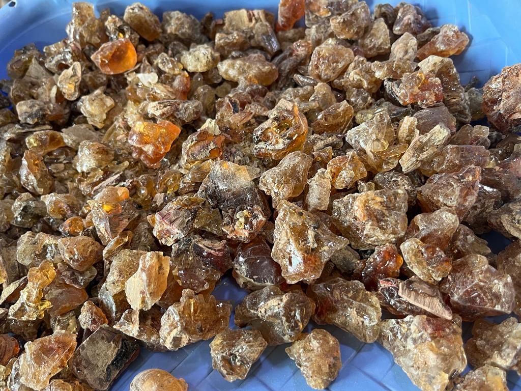 Gum Ghatti (Dhavda Gum) | Dharma Hydrocolloid